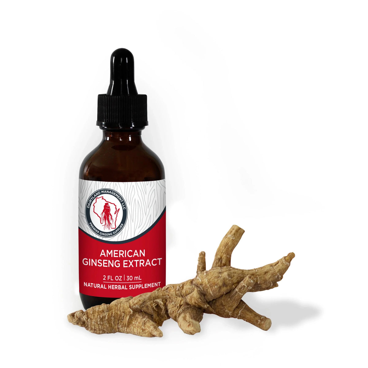 Premium Ginseng Extract | Powerful and High-Quality | Dairyland Ginseng