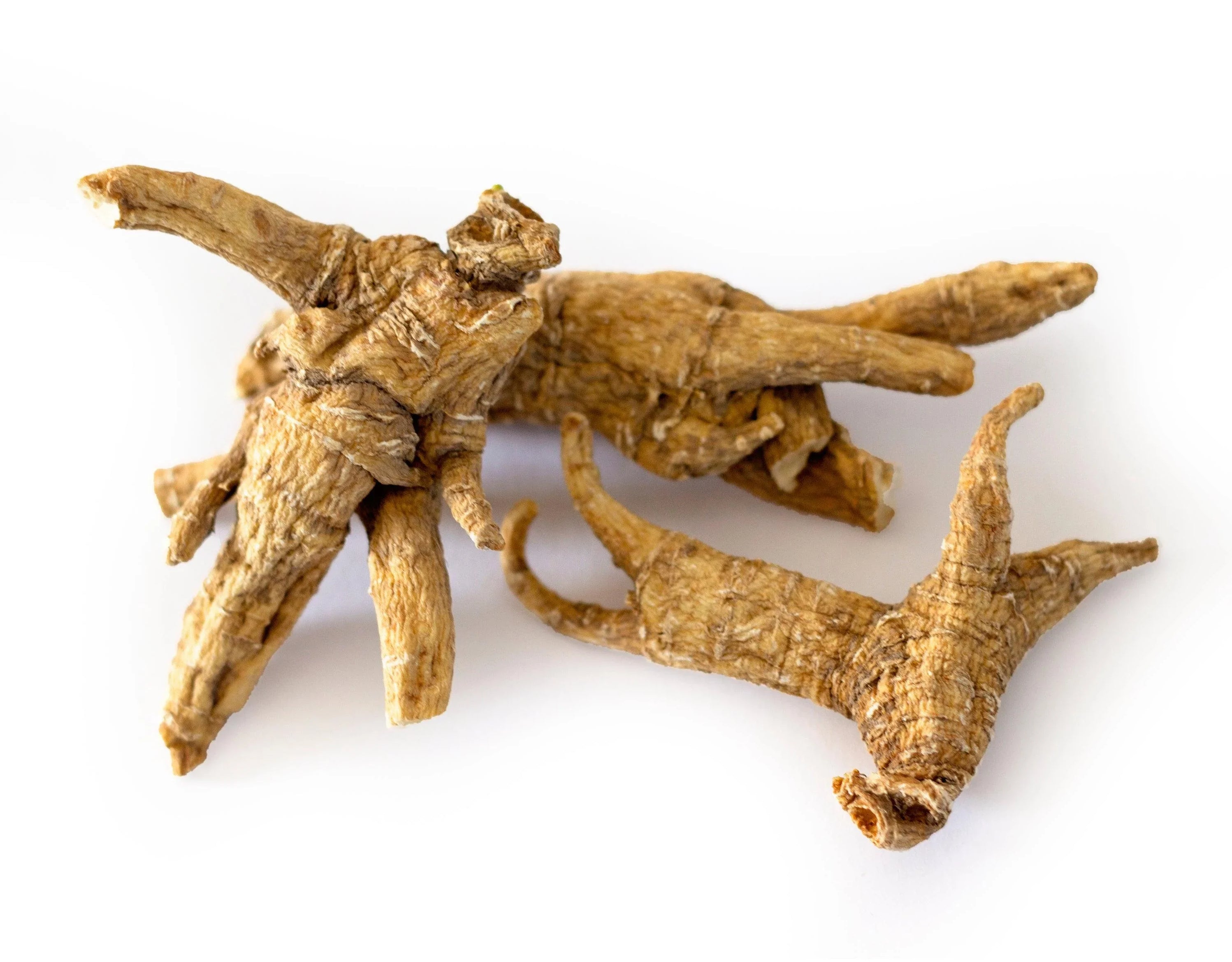 Wisconsin American Ginseng Roots for Enhanced Energy & Health ...